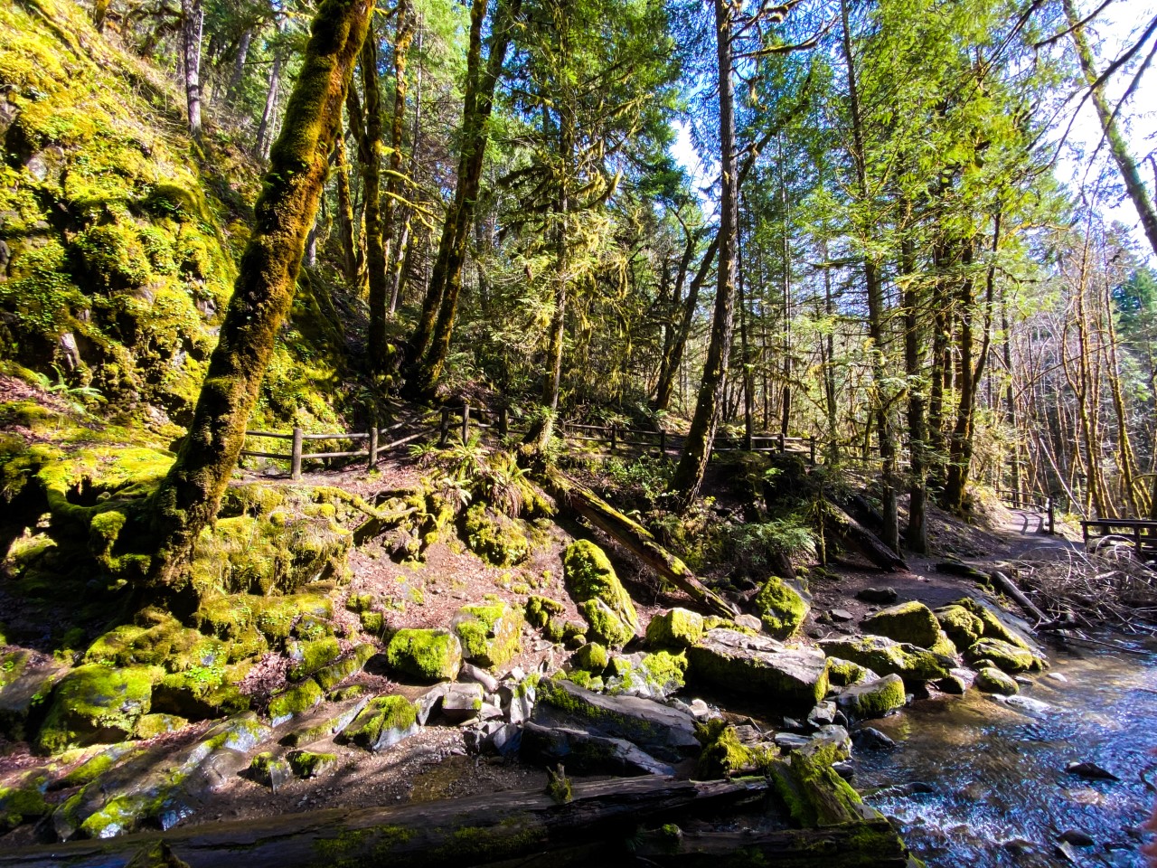 TOKETEE, WATSON, & SUSAN CREEK FALLS – HANNIE HIKES