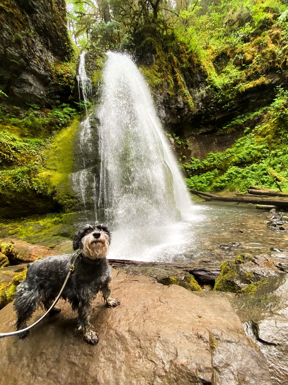 SPIRIT, MOON, & PINARD FALLS – HANNIE HIKES