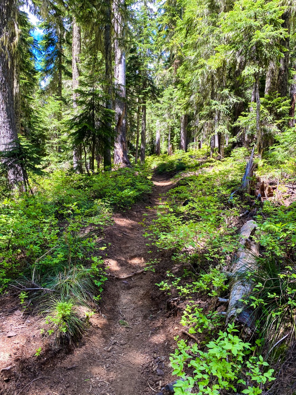 TENAS LAKES – HANNIE HIKES